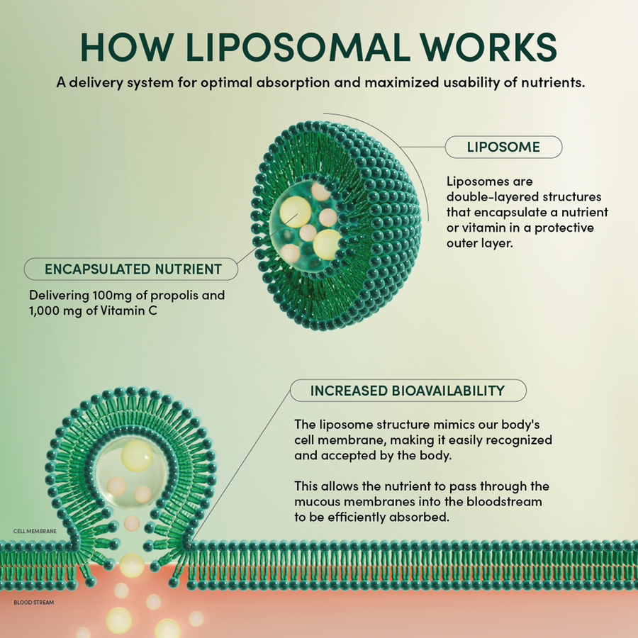 Propolis + Vitamin C Liposomal | Beekeeper's Naturals