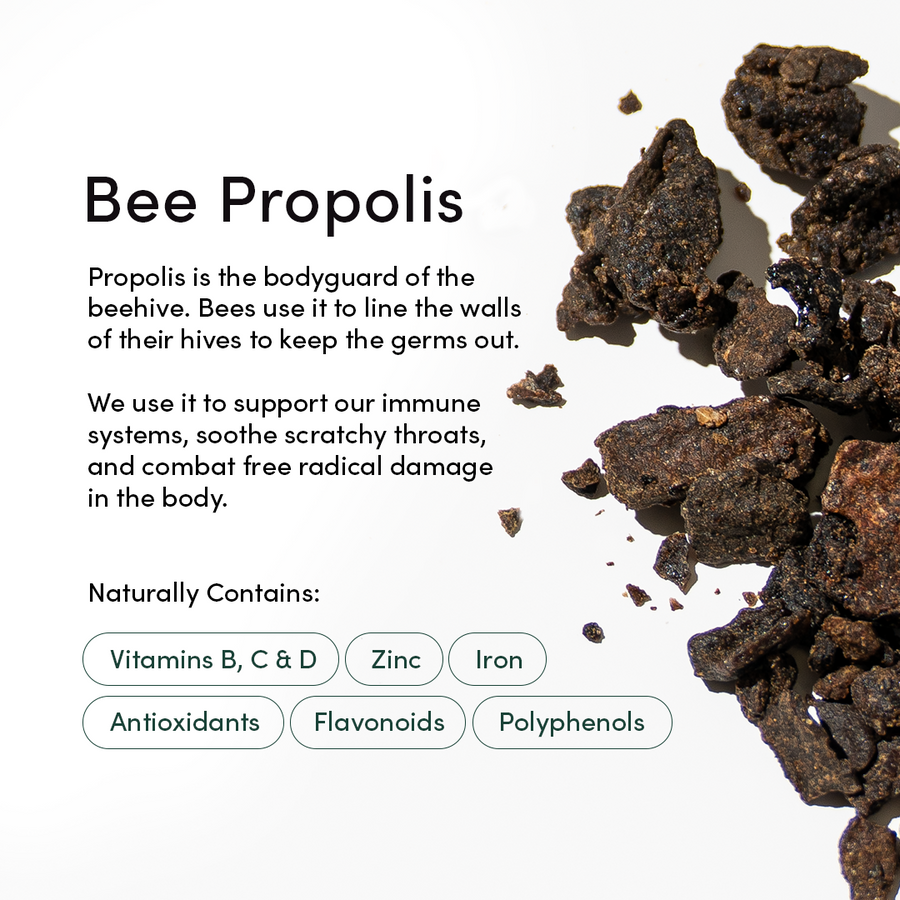 Propolis Throat Spray | Beekeeper's Naturals