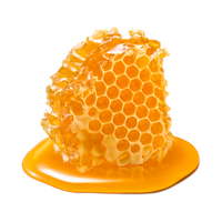Propolis + Vitamin C Liposomal | Beekeeper's Naturals